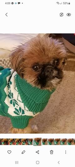 PURALUBE Vet Ointment Sterile Ocular Lubricant for Dogs & Cats, 3.5g ...