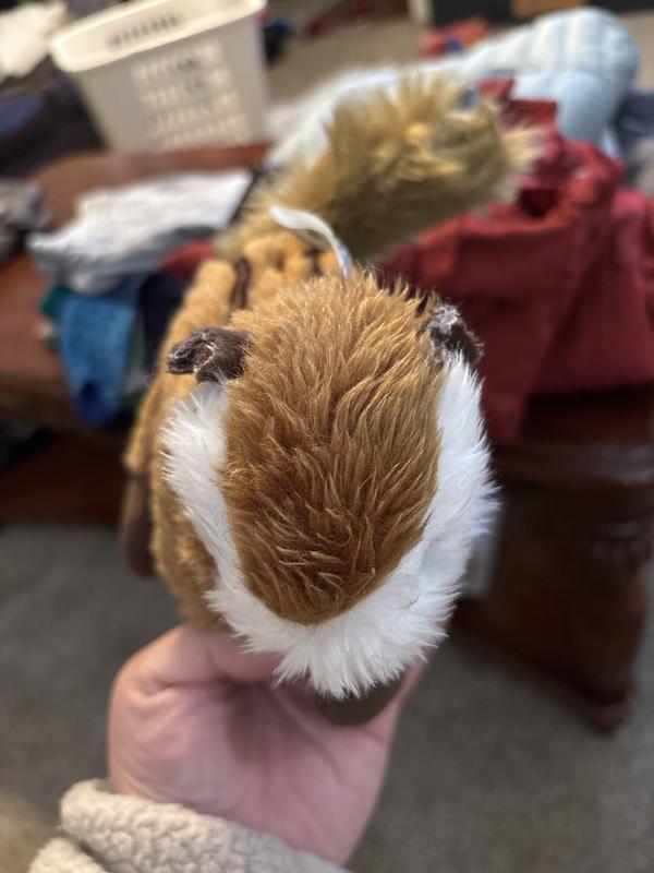GODOG Wildlife Chew Guard Chipmunk Squeaky Plush Dog Toy, Large - Chewy.com