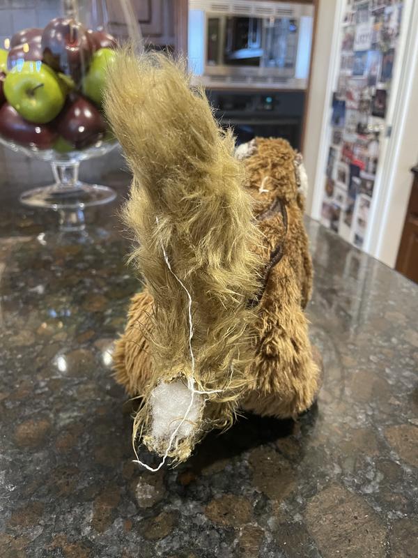 GODOG Wildlife Chew Guard Chipmunk Squeaky Plush Dog Toy, Large - Chewy.com