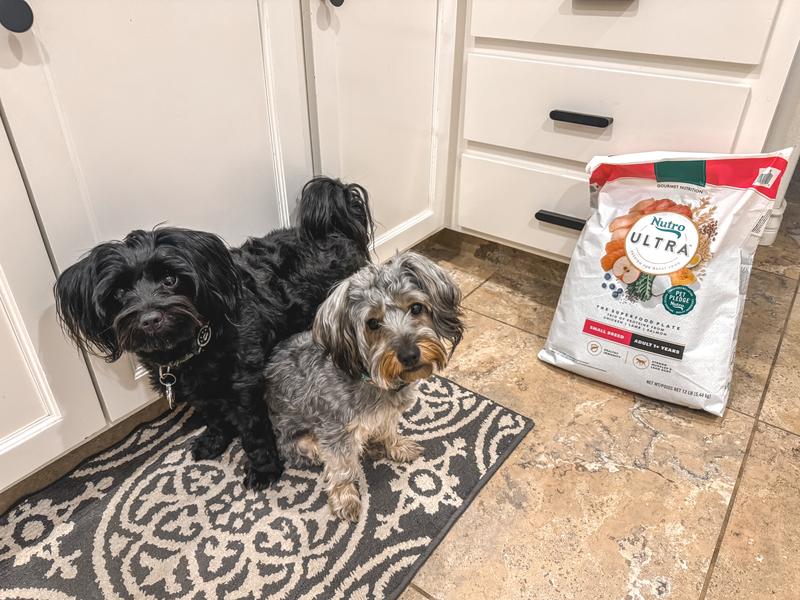 NUTRO Ultra Adult Small Breed Trio of Proteins High Protein Chicken ...