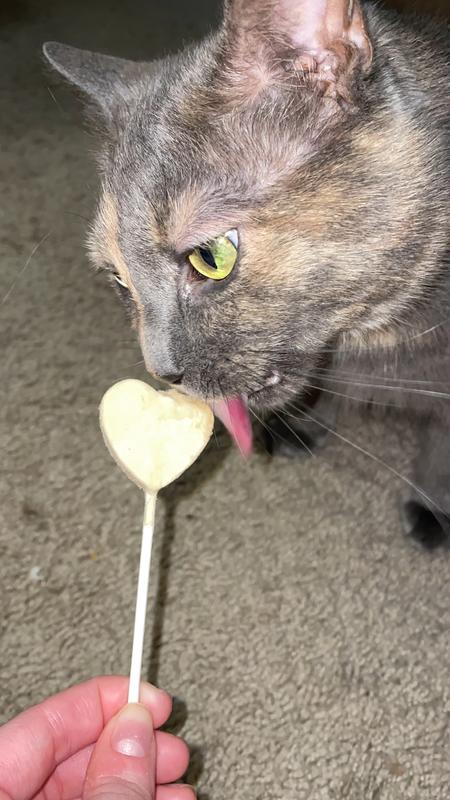 BONKERS Purr Pops Grain-Free Chicky Licks Freeze-Dried Cat Treats, 5.6 ...