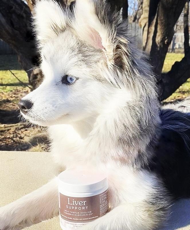 FERA PETS Liver Support for Dogs & Cats, 60 servings - Chewy.com