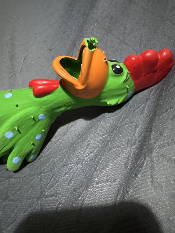MULTIPET Latex Polka Dot Globken Chicken Squeaky Dog Toy, Color Varies ...