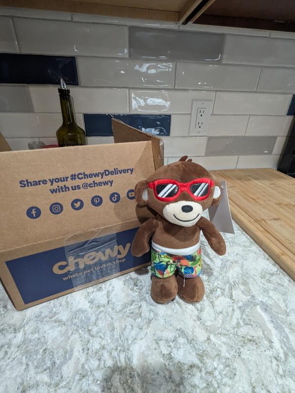 Discontinued - FRISCO Summer Monkey Plush Squeaky Dog Toy, Small/Medium ...