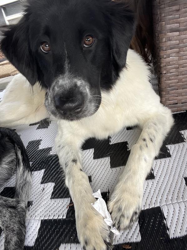 PROIN ER (phenylpropanolamine hydrochloride extended-release tablets ...