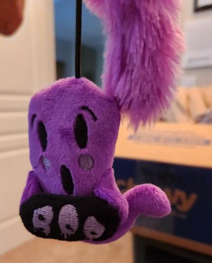 FRISCO Halloween Ghost & Fabric Teaser Wand Cat Toy with Catnip - Chewy.com