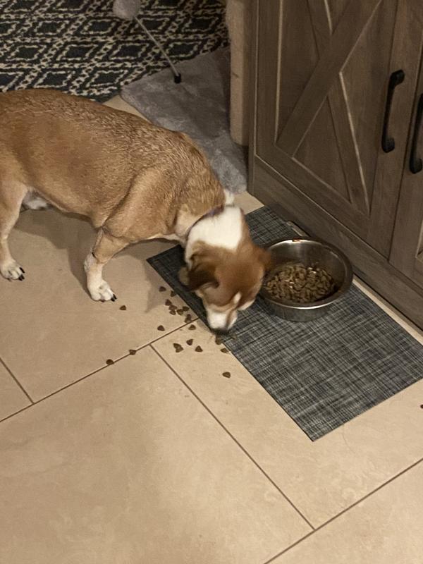 NOM NOM Freshly-Made Frozen Grain-Free Pork Potluck Dog Food, 14-oz ...