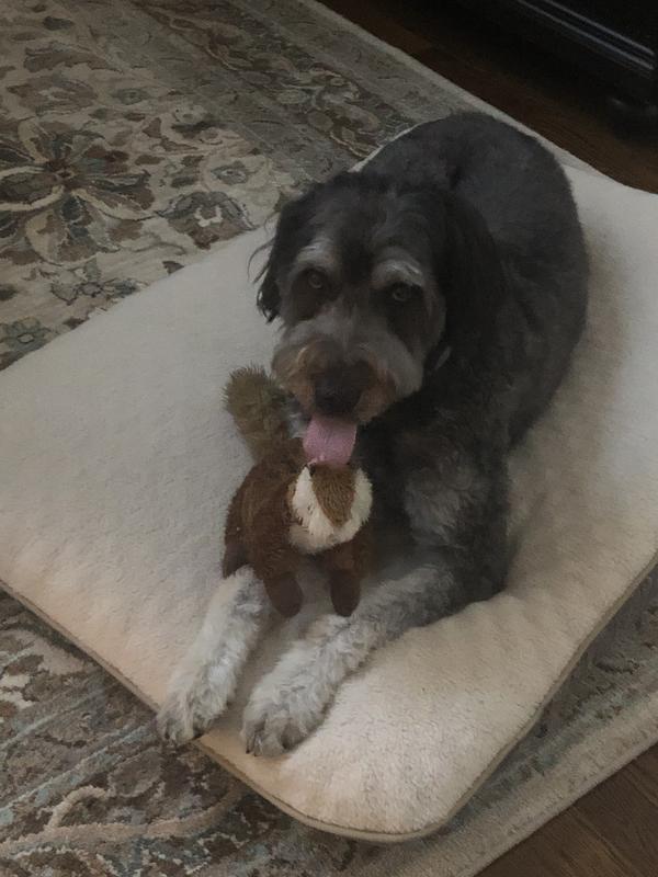 GODOG Wildlife Chew Guard Chipmunk Squeaky Plush Dog Toy, Large - Chewy.com