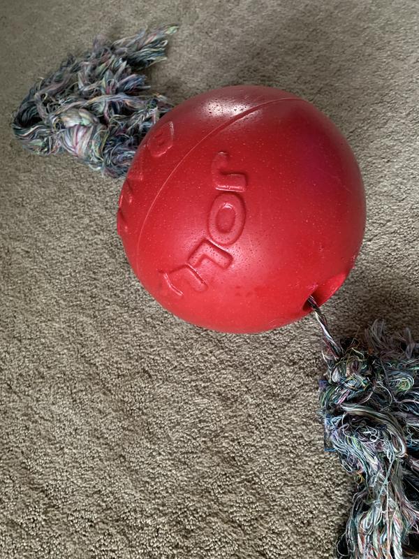 JOLLY PETS Romp-n-Roll Dog Toy, Red, 8-in - Chewy.com