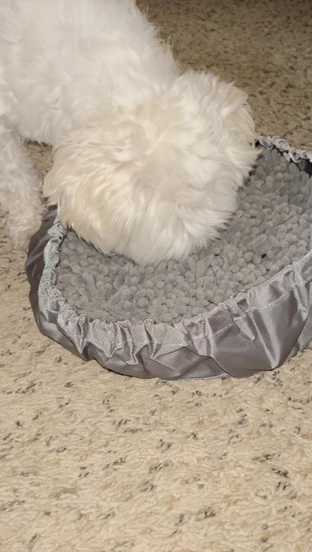 PET PARENTS Forager Snuffle Mat & Slow Feeder Dog Bowl, Forest Grey ...