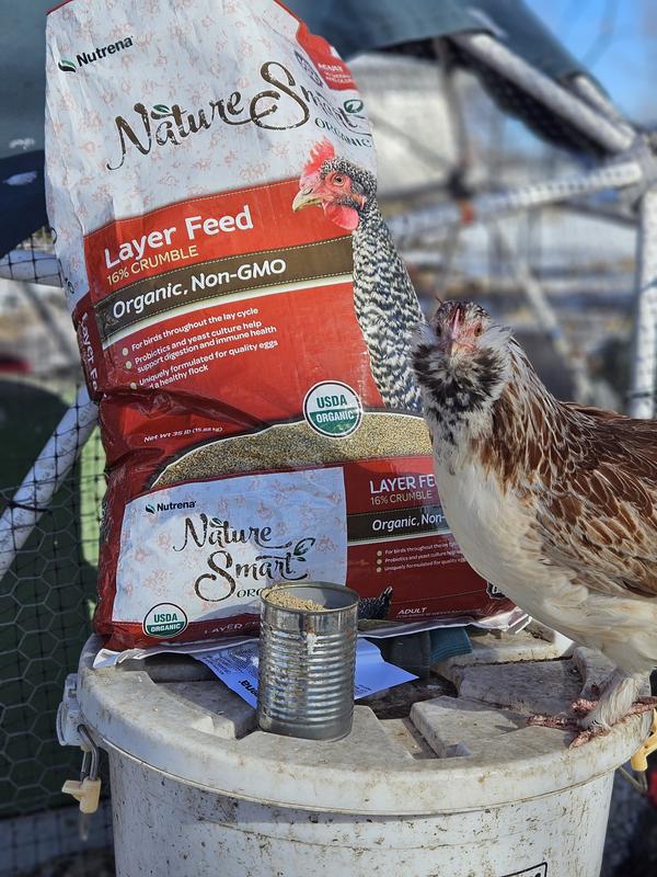 NUTRENA Nature Smart Organic Layer Feed 16% Protein Crumble Chicken ...