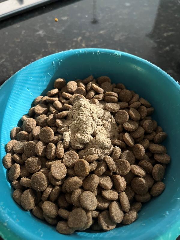 PET HONESTY High Fiber Pumpkin Flavored Digestive Powder for Dogs, 90 ...