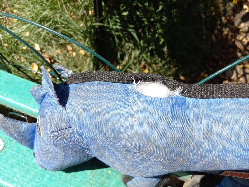 KONG Ballistic Rhino Squeaky Dog Plush Toy, Blue, Medium/Large - Chewy.com