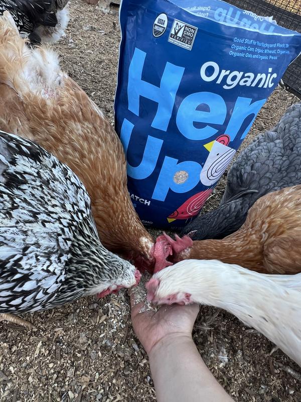 HEN UP Scratch Grains Organic Non-GMO 10% Protein Chicken Feed, 25-lb ...