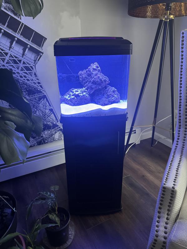 CORALIFE Biocube Aquarium Stand Fish Stand, Black, Size 29/32 - Chewy.com