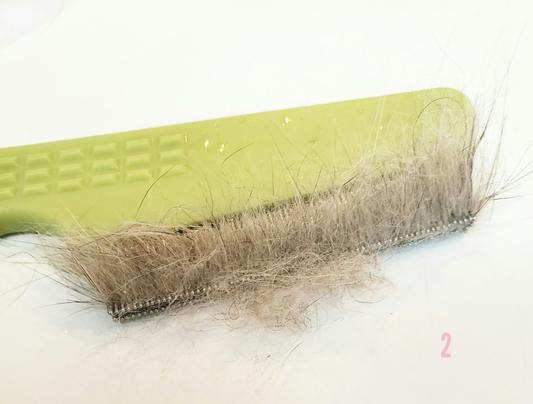 SAFARI Double Row Flea Comb for Dogs - Chewy.com