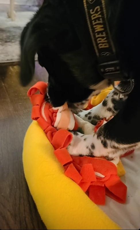 FRISCO Pizza Snuffle Mat, Yellow, Medium - Chewy.com