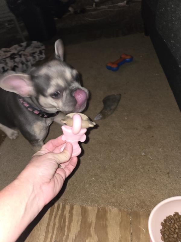 FRISCO Salmon Flavored Interlocking Fish Nylon & TPR Dental Teether ...