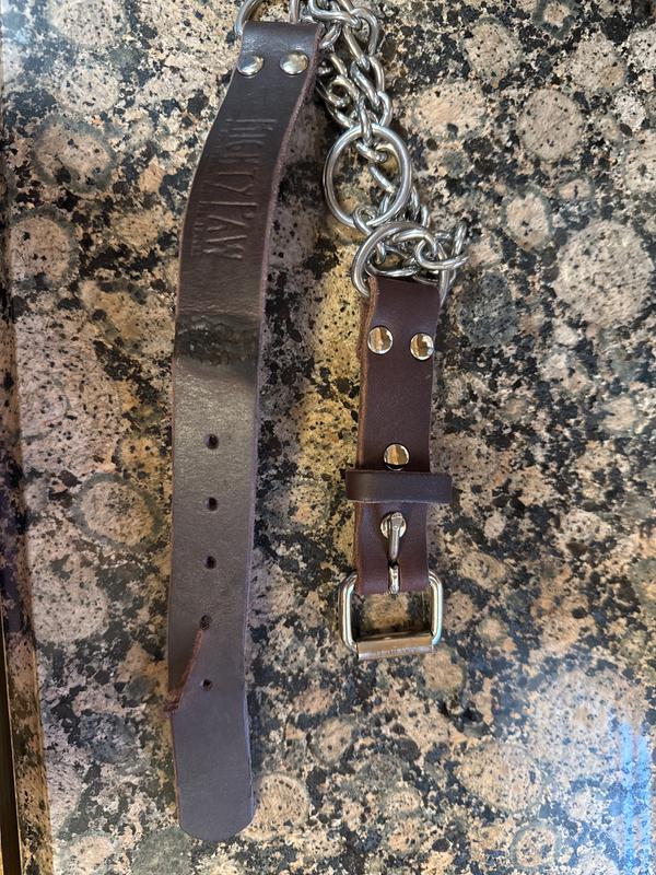 MIGHTY PAW Leather Martingale Dog Collar, Large - Chewy.com