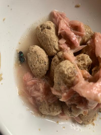 AMERICAN JOURNEY Landmark Broths Tuna, Anchovies & Whitefish Recipe Wet ...