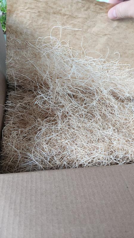 EATON PET & PASTURE USA Grown & Sustainably Harvested Bird Nesting Pad ...