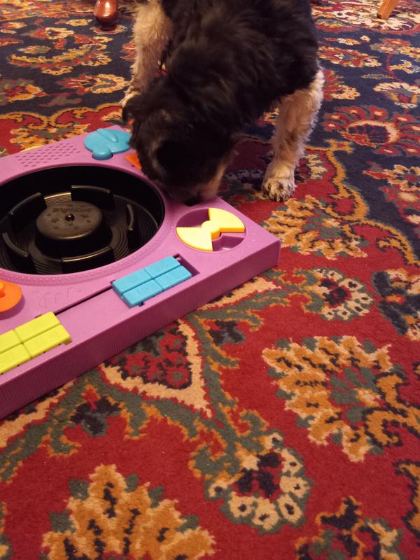 BRIGHTKINS DJ Doggo Puzzle Feeder Dog Toy - Chewy.com