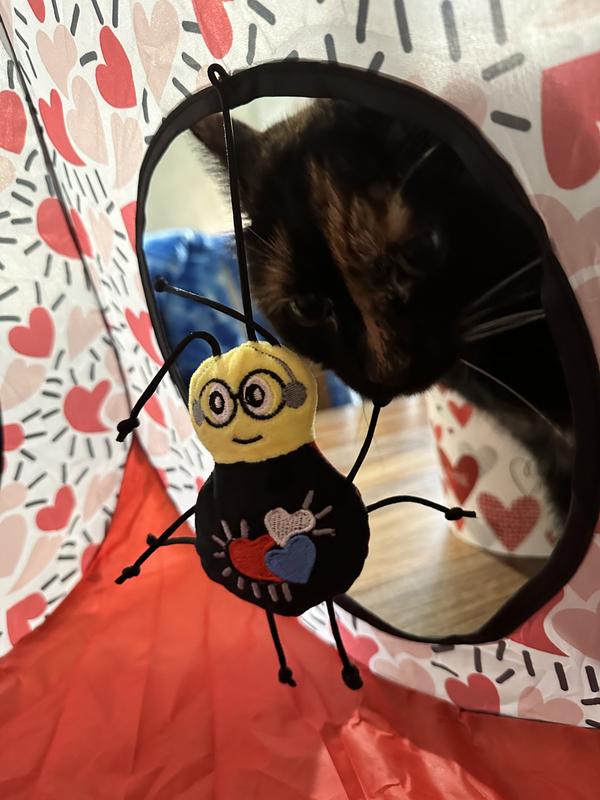 Temporarily Unavailable - FRISCO Valentine Love Bug Pop-Up Tent Cat Toy ...
