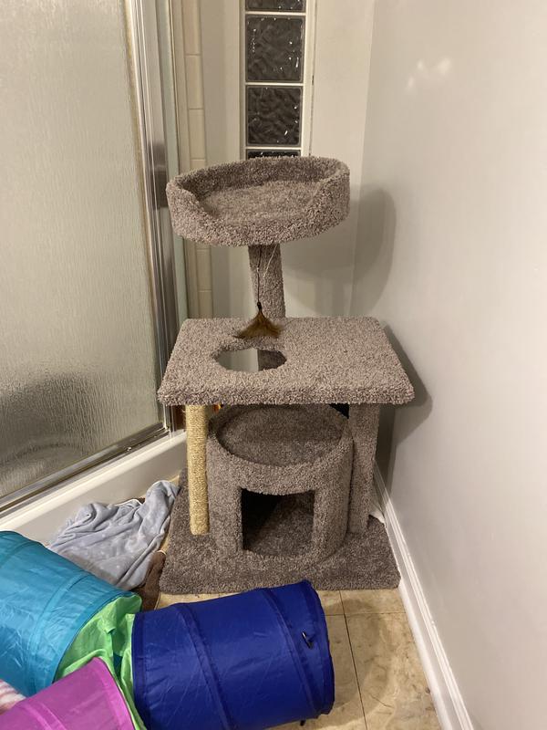 FRISCO 37-in Real Carpet Cat Tree with Condo, Grey - Chewy.com
