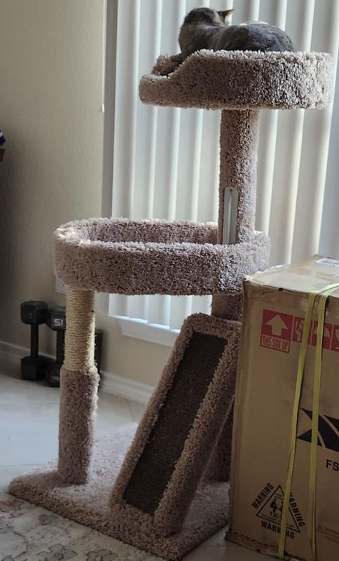 FRISCO 44-in Real Carpet Cat Tree with Replaceable Corrugate Scratcher ...