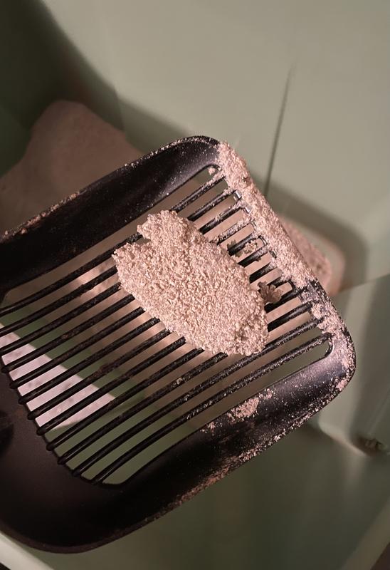 BOXIECAT Glo Corn Clumping Cat & Kitty Litter, 16.5-lb bag - Chewy.com