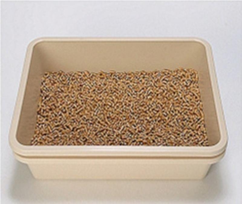 CATALYST PET Pine Pellet Unscented Non-Clumping Wood Cat Litter, 20-lb ...