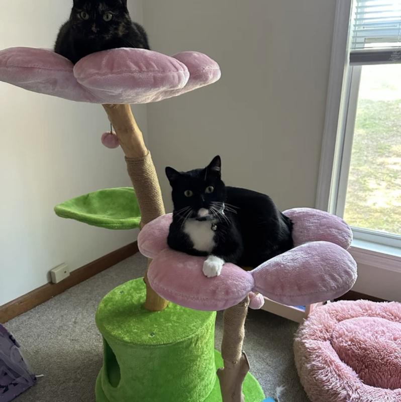 KBSPETS Floral 45-in Sisal Cat Tree, Cherry Blossom - Chewy.com