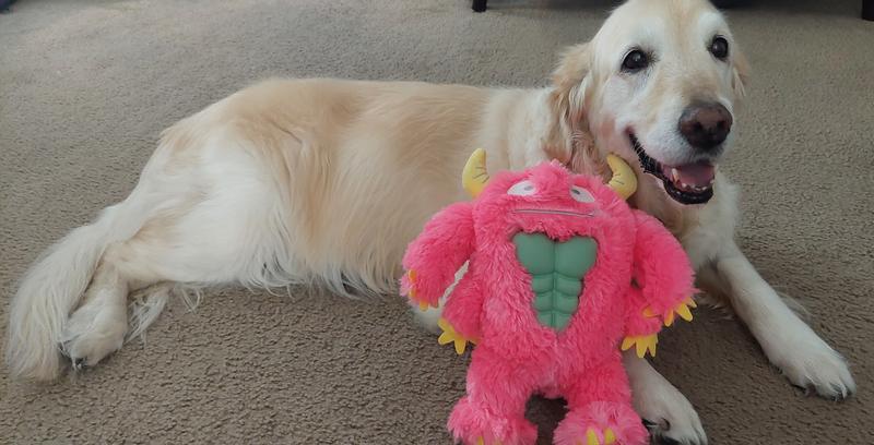 Out of Stock - FRISCO Halloween Zany Monster Muscle Plush Squeaky Dog ...