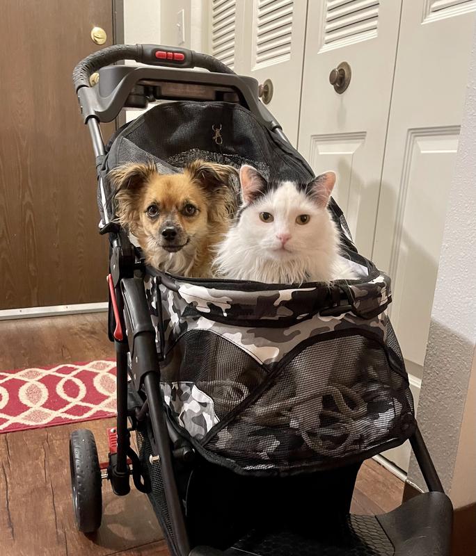 Discontinued - PETIQUE Dog & Cat Stroller, Razzberry - Chewy.com