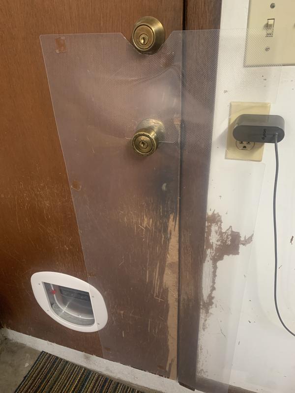 CLAWGUARD Original Door Scratch Shield, 43 x 18 in - Chewy.com