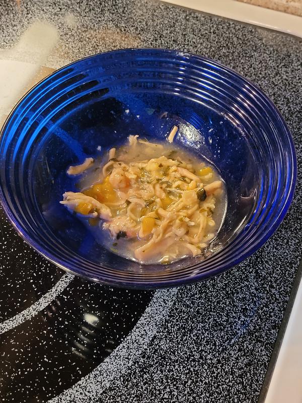 AMERICAN JOURNEY Landmark Broths Chicken, Carrots & Pumpkin Recipe Wet ...