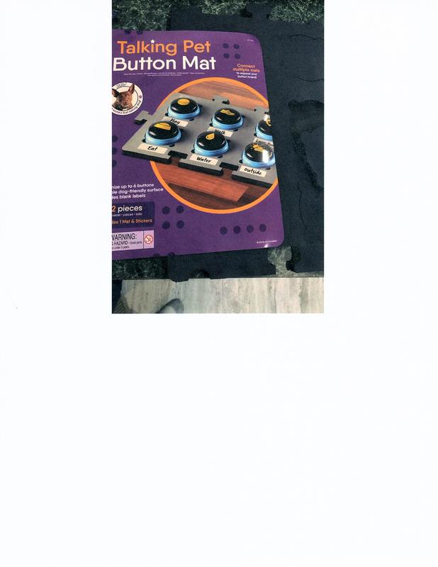 HUNGER FOR WORDS Talking Pet Button Mat Dog Toy - Chewy.com