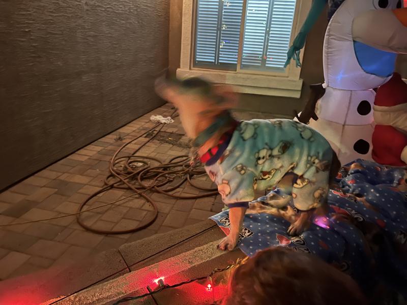 DISNEY Frozen's Olaf Dog & Cat Plush Fleece PJ, X-Large - Chewy.com