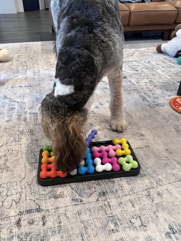 BRIGHTKINS Kanoodle Puzzle Dog Toy, Small - Chewy.com