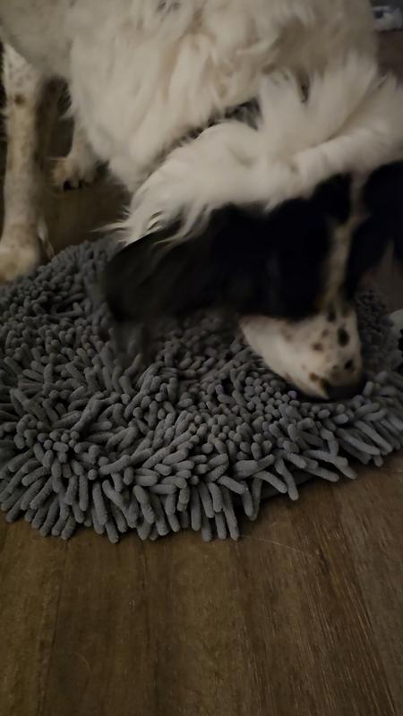 FRISCO Snuffle Mat, Grey - Chewy.com