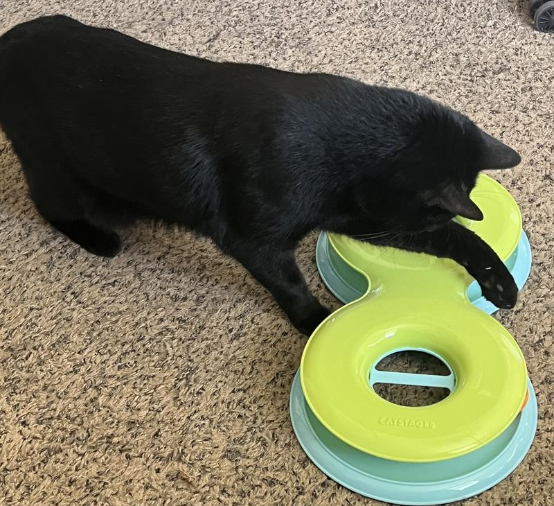 CATSTAGES Infinity Ball Track Including One Light-Up Ball, Figure-8 ...