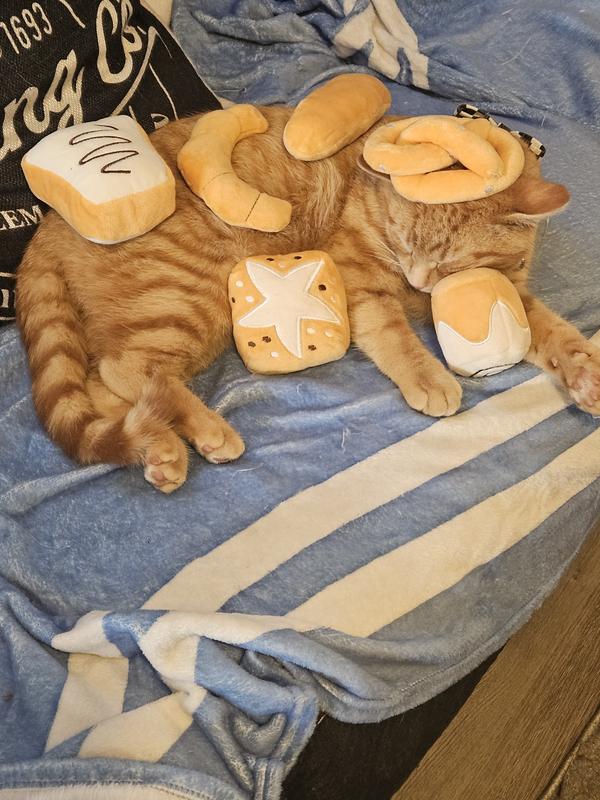 VILA Interactive Bread Plush Indoor Fetch & Play Cat Dental Chew Toy ...