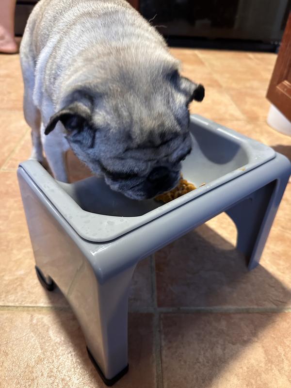 Temporarily Unavailable - FLUFF TROUGH Elevated Dog & Cat Feeder, Gray ...