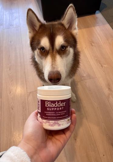 FERA PET ORGANICS Bladder Support Chicken Flavor Dog & Cat Supplement ...