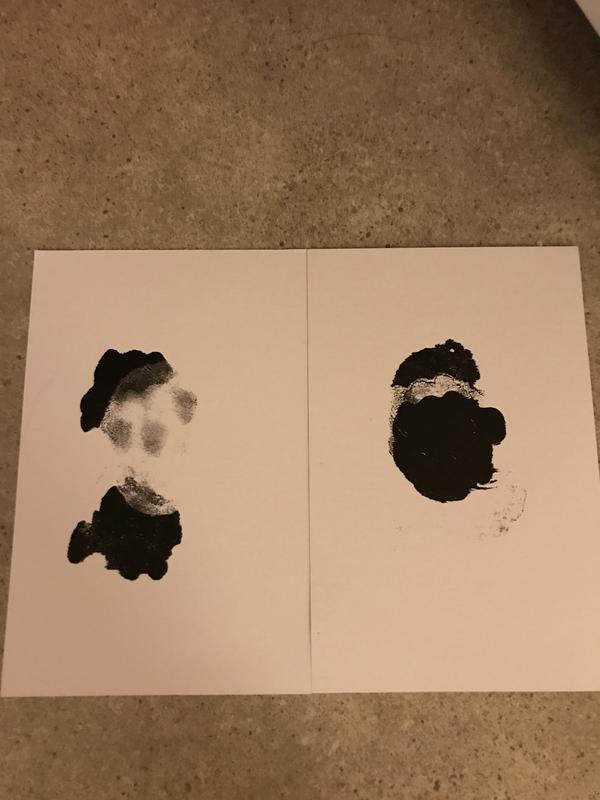 PEARHEAD Clean-Touch Ink Pad - Chewy.com