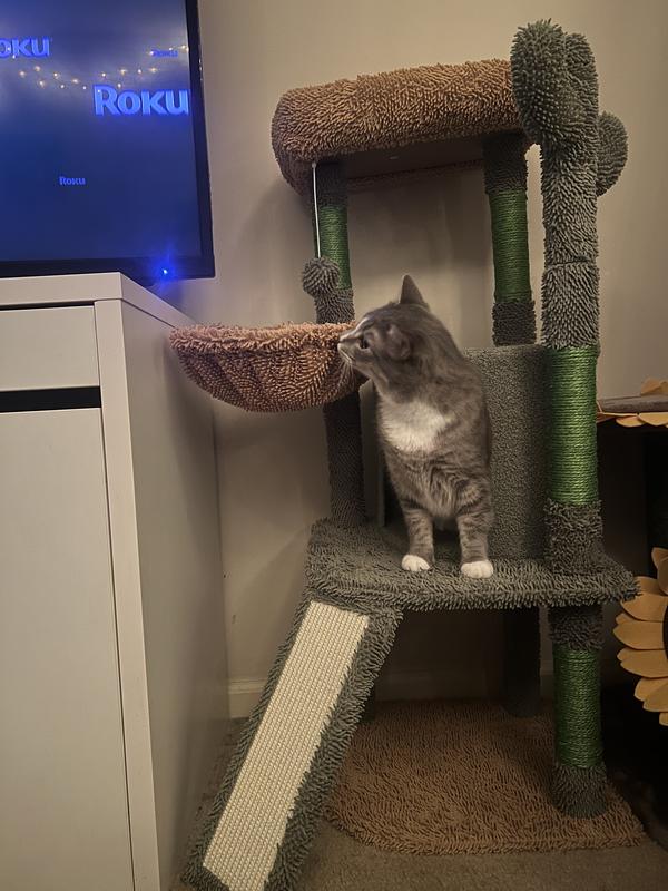 Out of Stock - YAHEETECH Cactus 42-in Plush Cat Tree - Chewy.com
