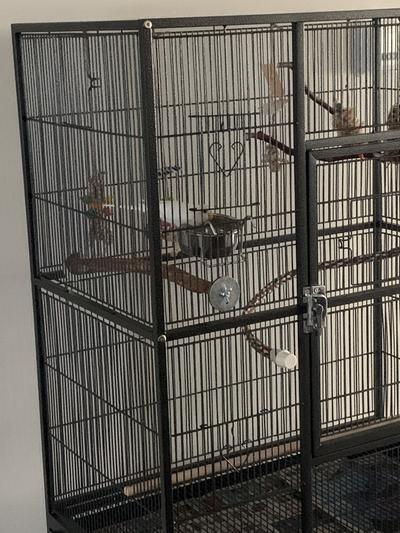 YAHEETECH 63-in Open Top Metal Parrot Cage with Detachable Rolling ...