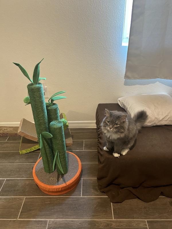 FRISCO Lucky Bamboo 35.5" Cat Scratching Posts with Toys - Chewy.com