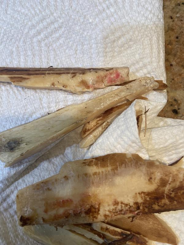 BEST BULLY STICKS 5-6-in Beef Marrow Bones Natural Dog Treats, 3 count ...