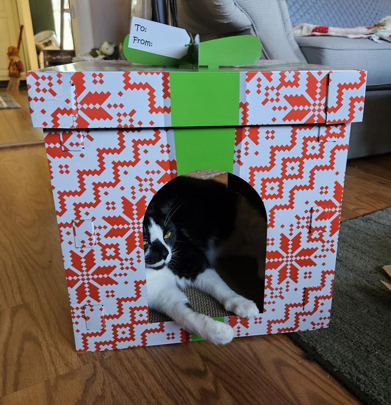 Out of Stock - FRISCO Holiday Gift Box Cardboard Cat House - Chewy.com